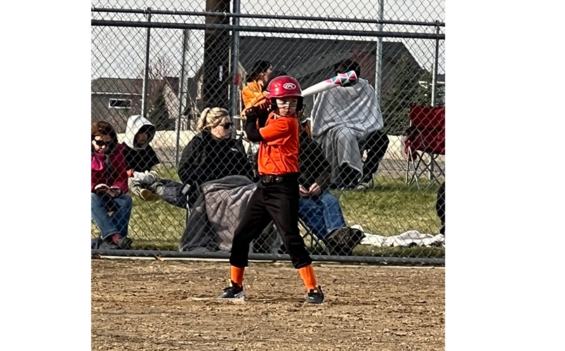 Home [www.postfallslittleleague.org]